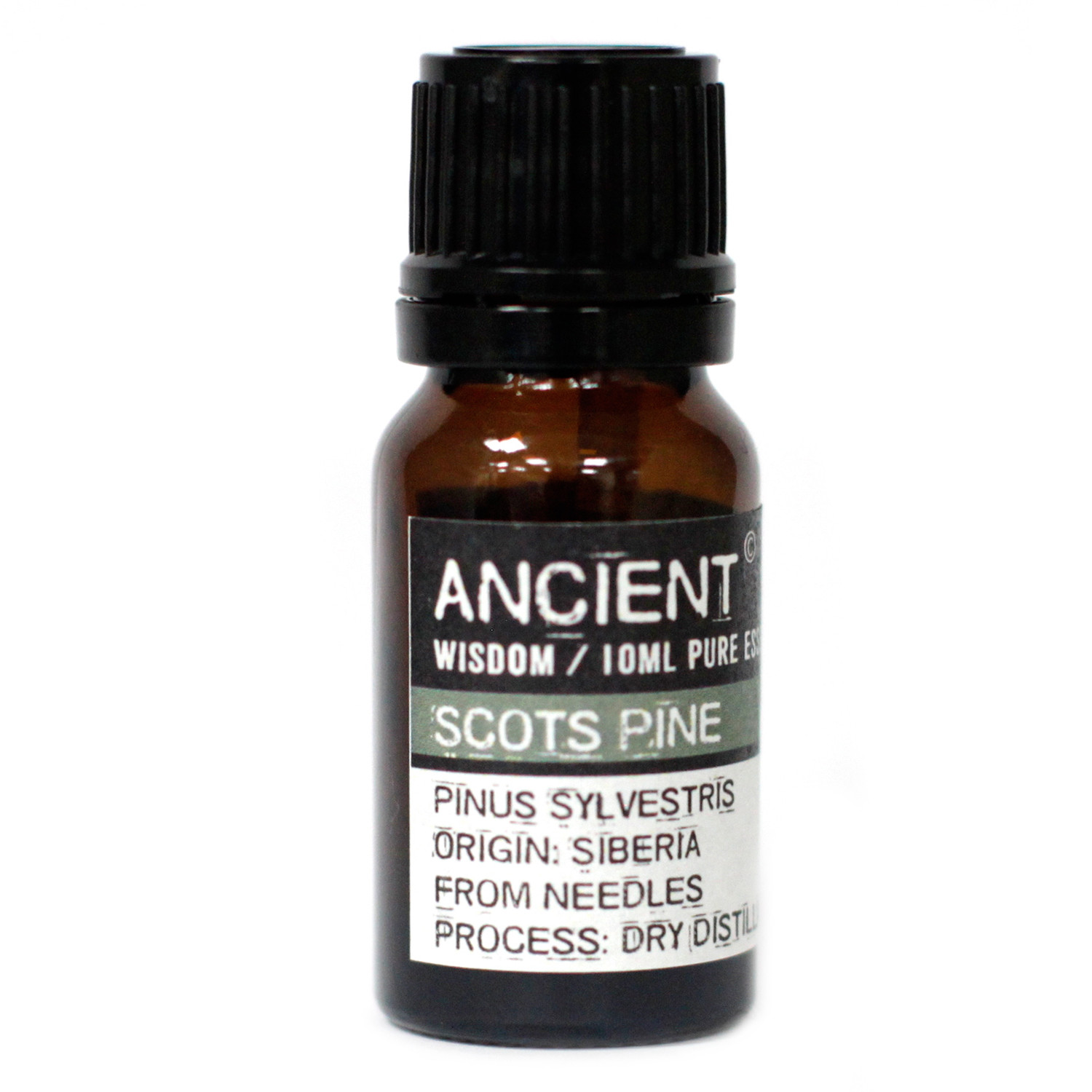 10 ml Pine Sylvestris (Scots Pine) Essential Oil - Bae Shop